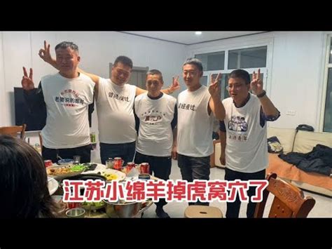 20231125 东北虎西北狼不如江苏的小绵羊小绵羊掉虎穴也在劫难逃服了 YouTube