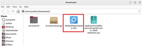 Roblox For Linux Guide Installation And Running Without Wine