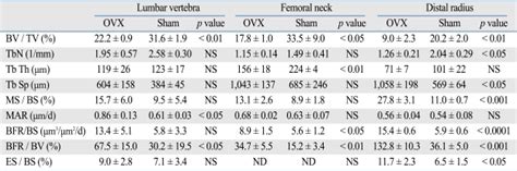 Bone Histomorphometric Analysis Of Trabecular Bone Of The Lumbar Download Scientific Diagram