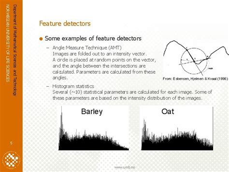 Feature Extraction Techniques To Use In Cereal Classification