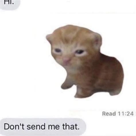 Aow Cast Others Tier List Community Rankings Tiermaker