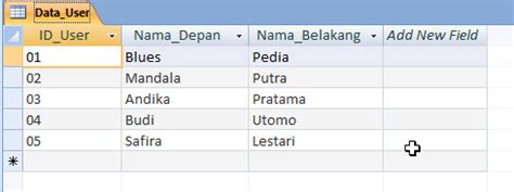 Menampilkan Dua Record Dalam Satu Text Box Blues Pedia