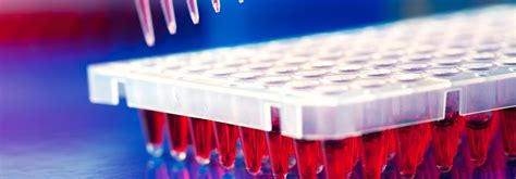 Applying Cellular Assays Potency Testing For Lot Release Under Gmp