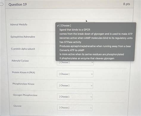 Solved Protein Kinase A Pka Phosphorylase Kinase Glycogen
