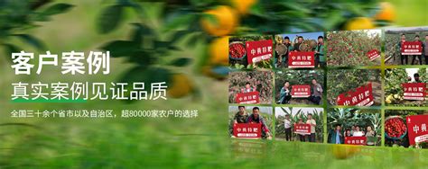 祝贺河南中黄特肥在灵宝县葡萄基地举办观摩会成功 河南中黄特肥