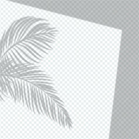 투명한 그림자 오버레이 효과 무료 벡터