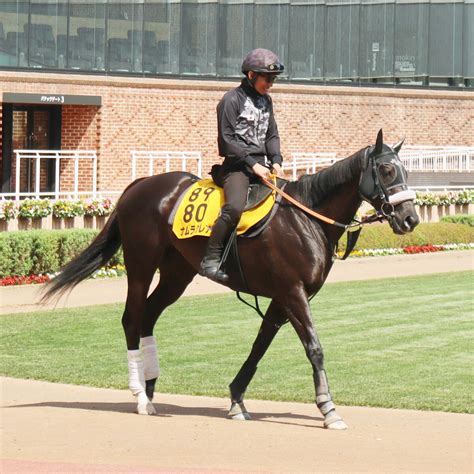 【函館スプリントs】単勝1・7倍がまさか ナムラクレアは8着 ルメール騎手「競走中止した馬の影響で」 スポーツ報知