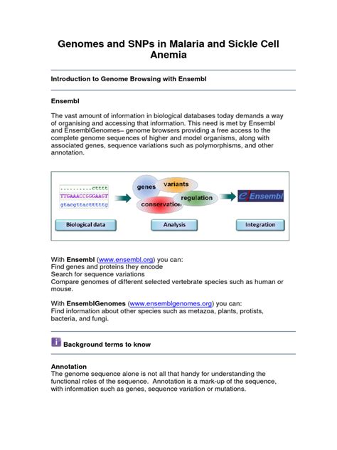 Guia Genetics Exercises Ensembl Pdf Gene Genome