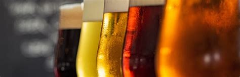 Wset Level 1 Beer Sample Questions And Mock Practice Exams