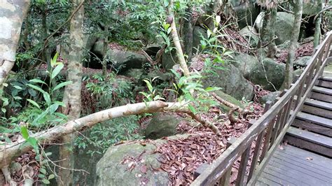 2023七仙岭温泉国家森林公园游玩攻略就果断放弃了，不过山里的【去哪儿攻略】