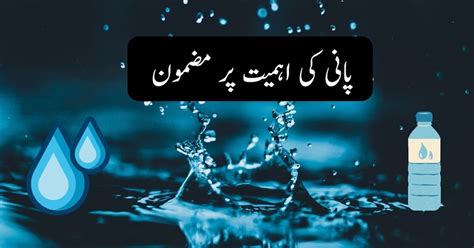 Pin On Urdu Essay