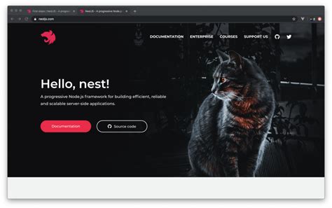 Nestjs For Absolute Beginners Introduction By Sellathurrai