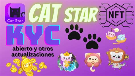 CATSTAR KYC Abierto Y Otros Actualizaciones YouTube