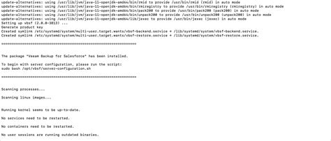 installing veeam backup for salesforce on ubuntu machines veeam