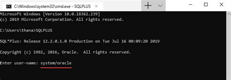 ติดตั้ง Oracle Database 12c Release 2 122010 บน Windows 10 Pro 64