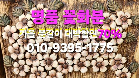 명품 꽃화분 가을 분갈이 할인 70 다육 다육화분 다육식물 화분 분갈이흙 010 9395 1775 Youtube