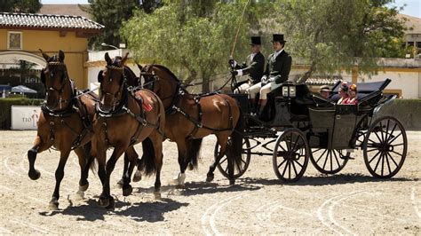 Puro espectáculo en el Concurso de Enganches 2023 de la Feria del Caballo
