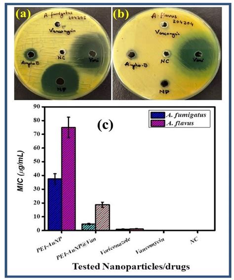 Applied Sciences Free Full Text Vancomycin Conjugated