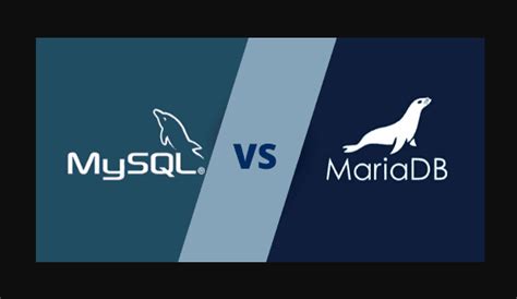 Confronto Tra MySQL E MariaDB Duello Tra Cugini Di Primo Grado