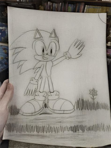 Sonic Practice By Ana Maria91 On Deviantart