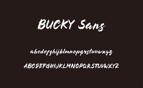 Bucky Sans Free Font Bucky Sans Free Font