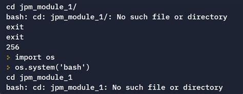 REPL Terminal Setup Issue Insidesherpa JPMC Tech Task GitHub