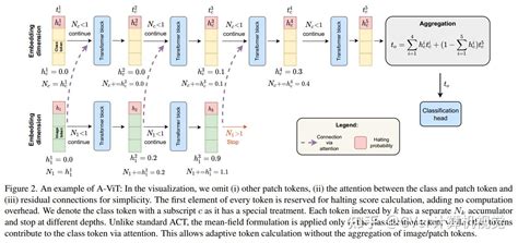 CVPR 2022 Oral A ViT高效视觉Transformer的自适应Tokens 知乎