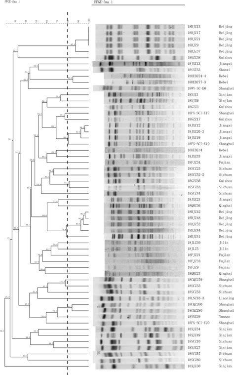 Antimicrobial Resistance In Enterococcus Faecium And Enterococcus Faecalis Isolates Of Swine