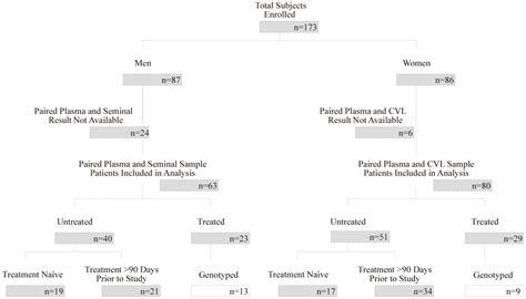 Flowchart Of Enrolled Subjects And Available Samples By Sex White Download Scientific Diagram