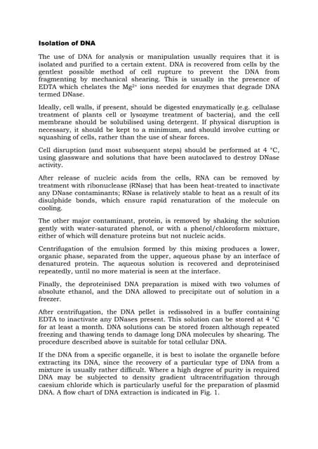 Rna Isolation And Cdna Preparation Ppt