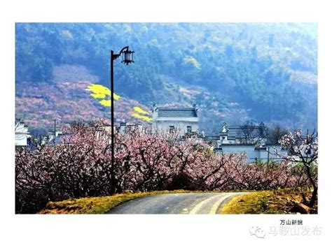 安徽20条最美乡村旅游路线揭晓，马鞍山6个村入选澎湃号·政务澎湃新闻 The Paper