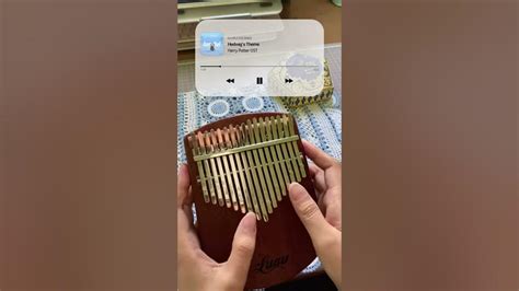 🌈 해리포터 Ost 1분 칼림바 연주 And 숫자악보🎵 Kalimba Tab Hedwigs Theme Harry