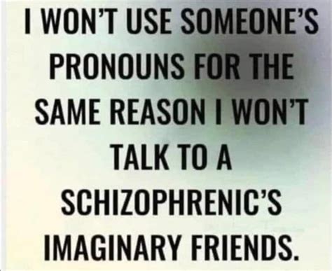 I Would Talk To A Schizophrenics Imaginary Friends And Use Someones