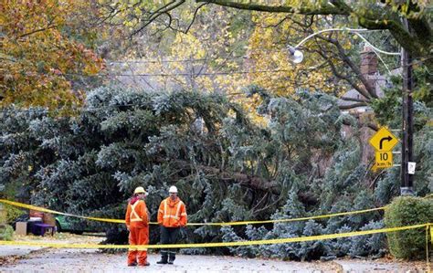 Photos Storm Damage In Toronto After Sandy Hits East Coast The Globe