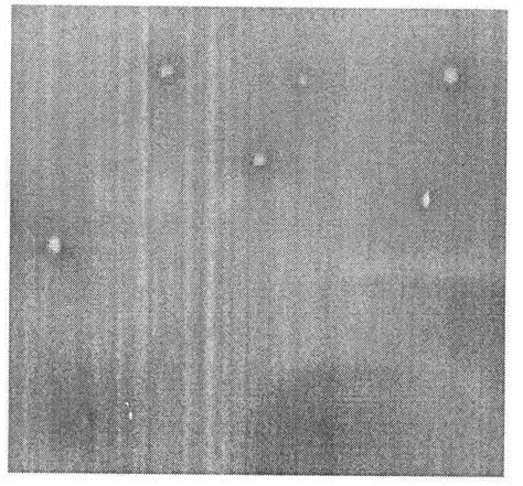 Enterococcus Faecalis Hew A131 And Application Thereof Eureka Patsnap