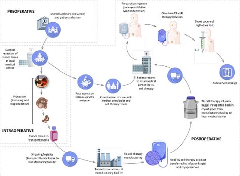 Steps Involved In Til Cell Therapy Download Scientific Diagram