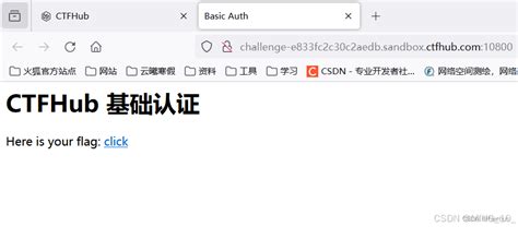 新手小白详解ctfhub技能树——web方向 csdn博客