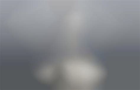 100 Deceptively Gravity Defying Objects