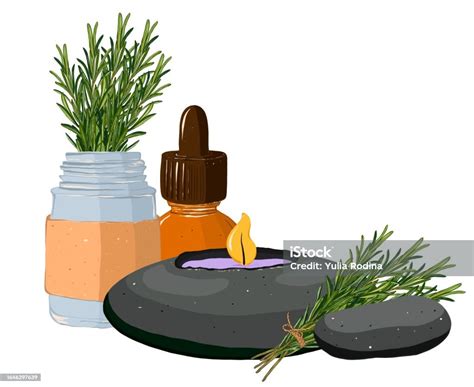아로마테라피 및 스파 트리트먼트 에센셜 오일 병 아로마 램프 및 아로마 허브 손으로 그린 그림 격리 건강관리와 의술에 대한 스톡 벡터 아트 및 기타 이미지 Istock