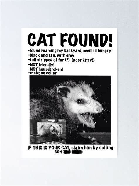 Neighbors Cat Trespassinghad To Put It Down General Discussion