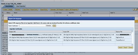 how to troubleshoot import renew and monitor java sap community