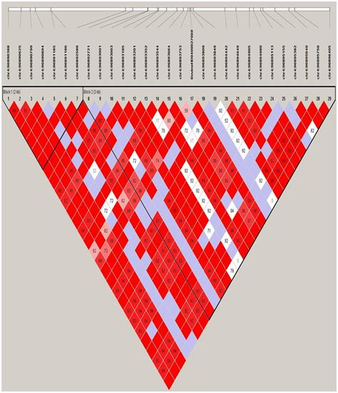 Linkage Disequilibrium Plot The Plot Reveals A High Ld Block Spanning