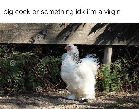 White Cock Rmemes