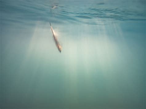 Exhibition Ann Prochilo This Is Water