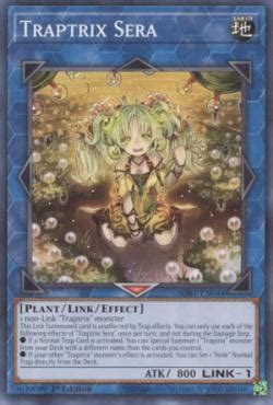 Armadilhatrix Sera Yu Gi Oh MYP Cards