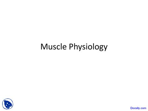Muscle Physiology Introduction To Human Physiology Lecture Slides