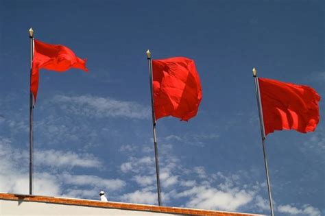 ¿en Qué Consiste La Economía Socialista Web Y Empresas