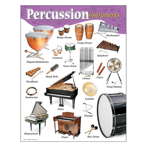 Percussion Instruments Chart Instruments Poster For Classroom Cm School Supply
