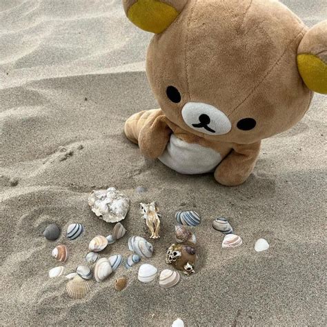Rilakkuma Pfp Aesthetic Rilakkuma Bear Pfp Rilakkuma Plushies