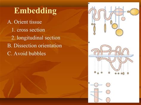 Principle Of Tissue Processing Ppt Chemistry Science